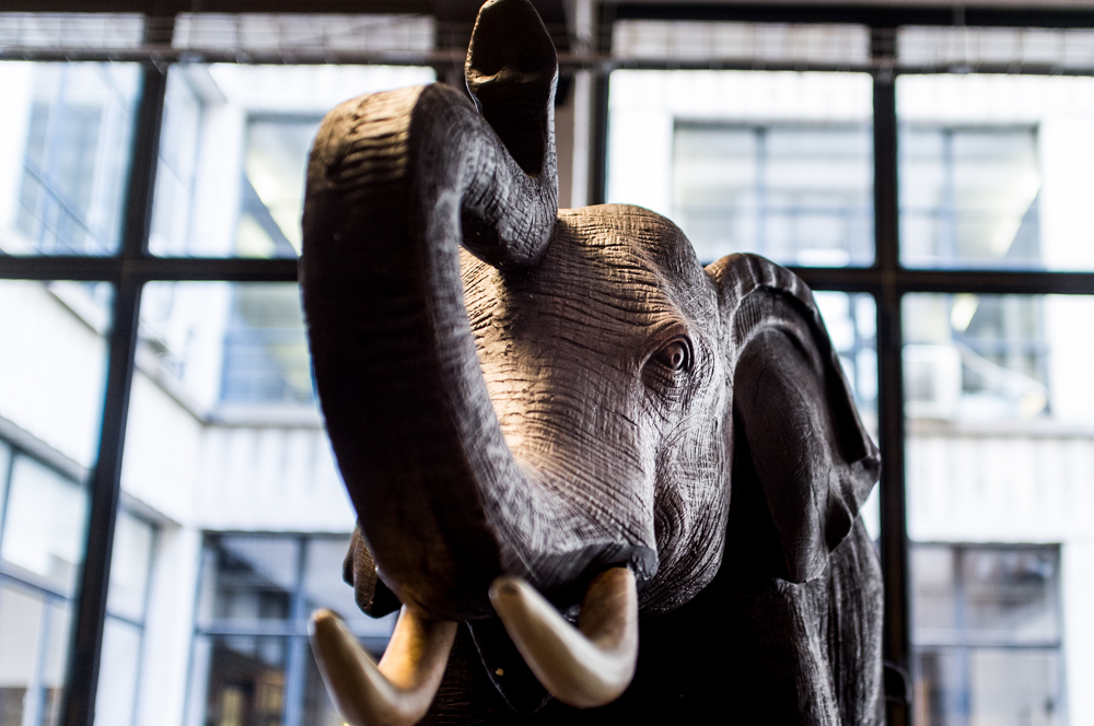 Notre métier | pour action